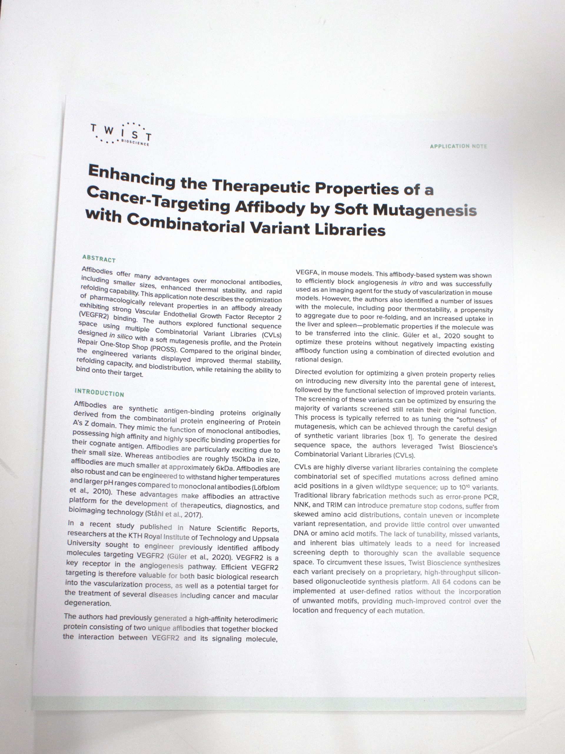 Enhancing the Therapeutic Properties of a Cancer-Targeting Affibody by ...