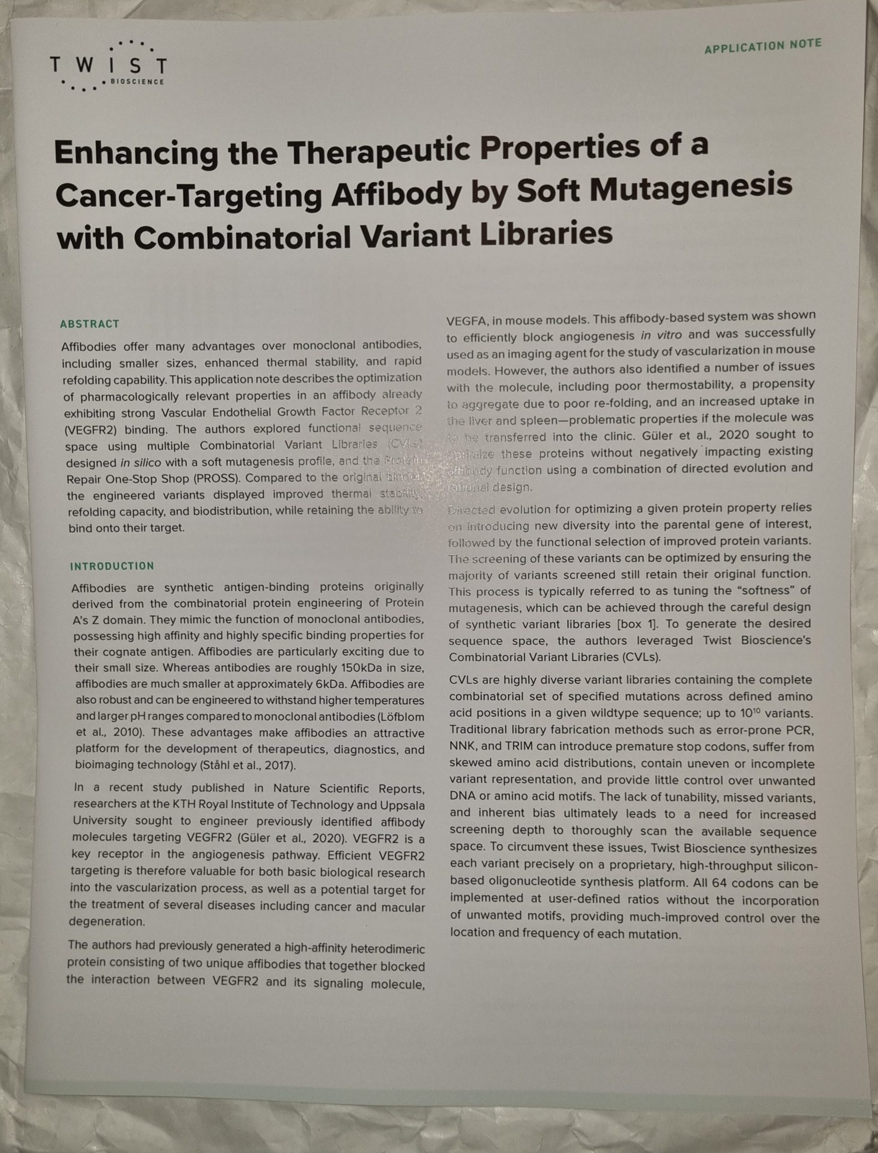 Enhancing the Therapeutic Properties of a Cancer-Targeting Affibody by ...